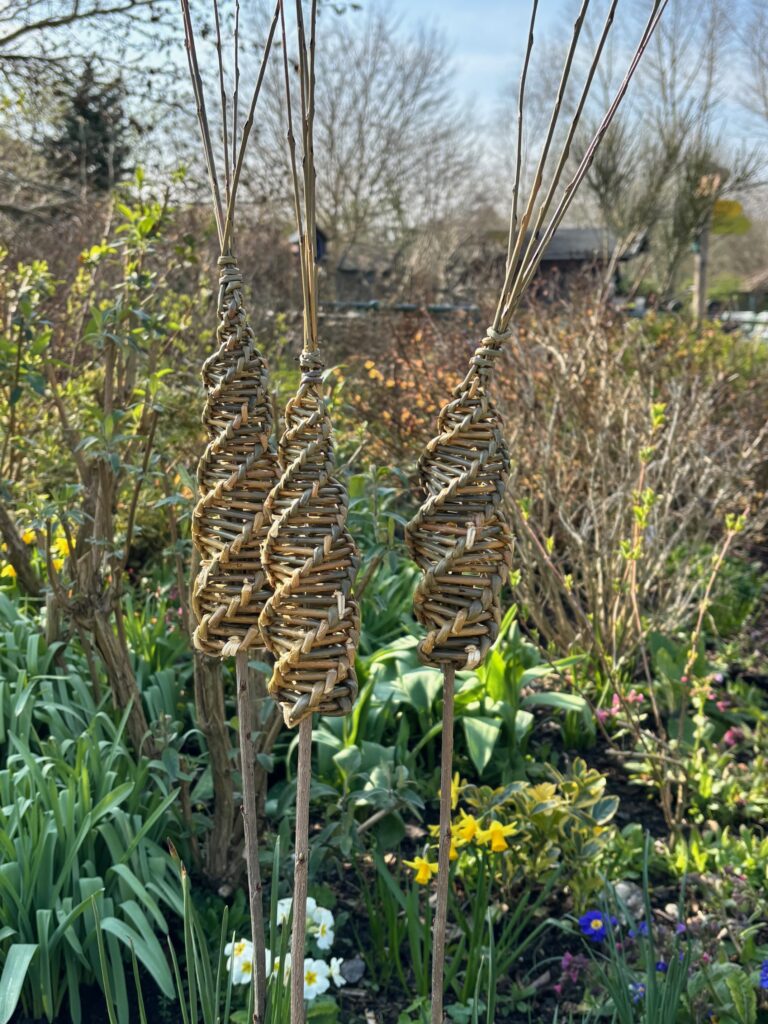 Bullrushes - The Therapy Garden